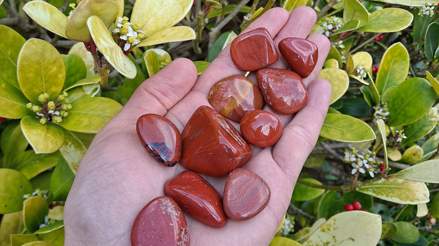 Explore the Healing Properties of 7 Types of Jasper | dumi's crystals
